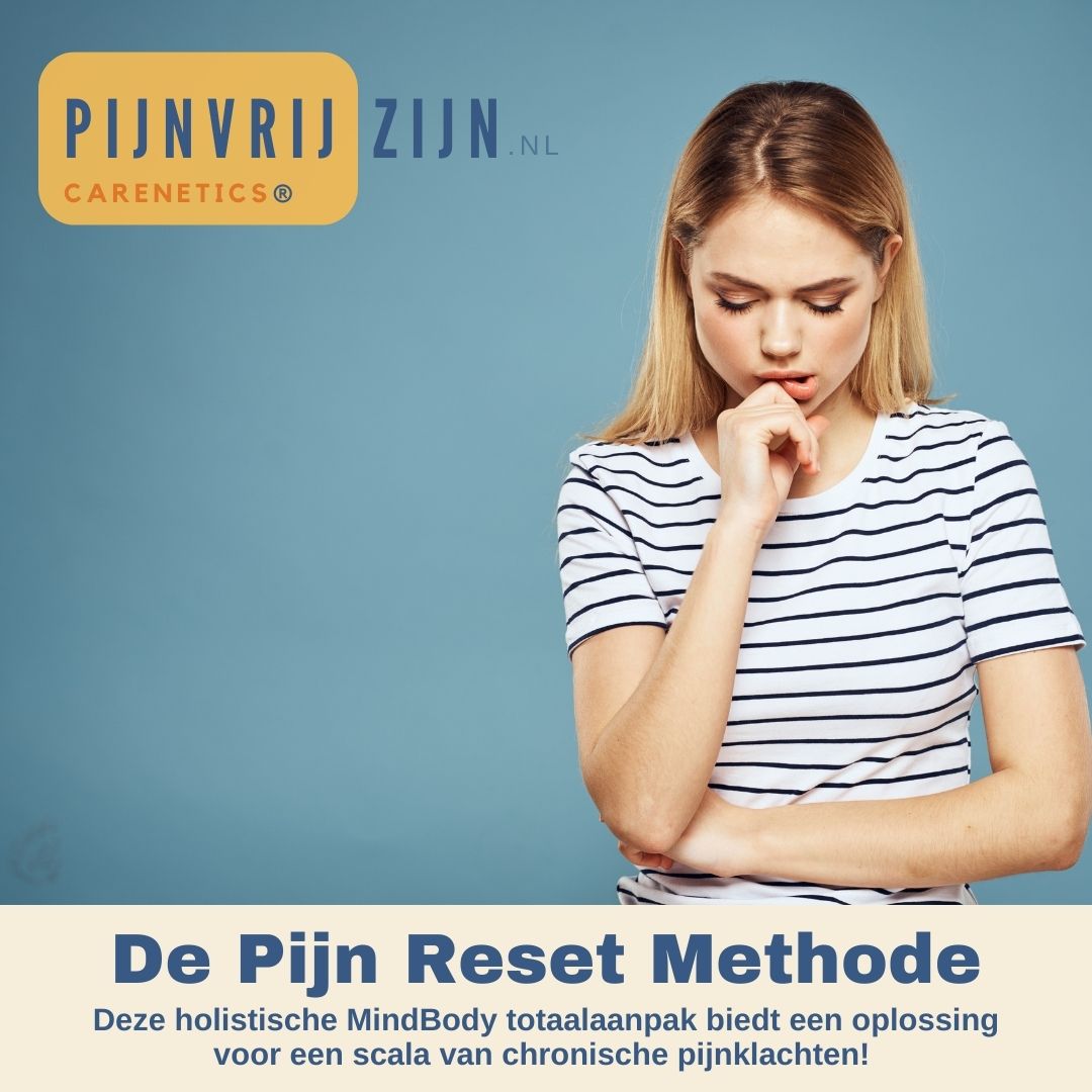 De Pijn Reset Methode