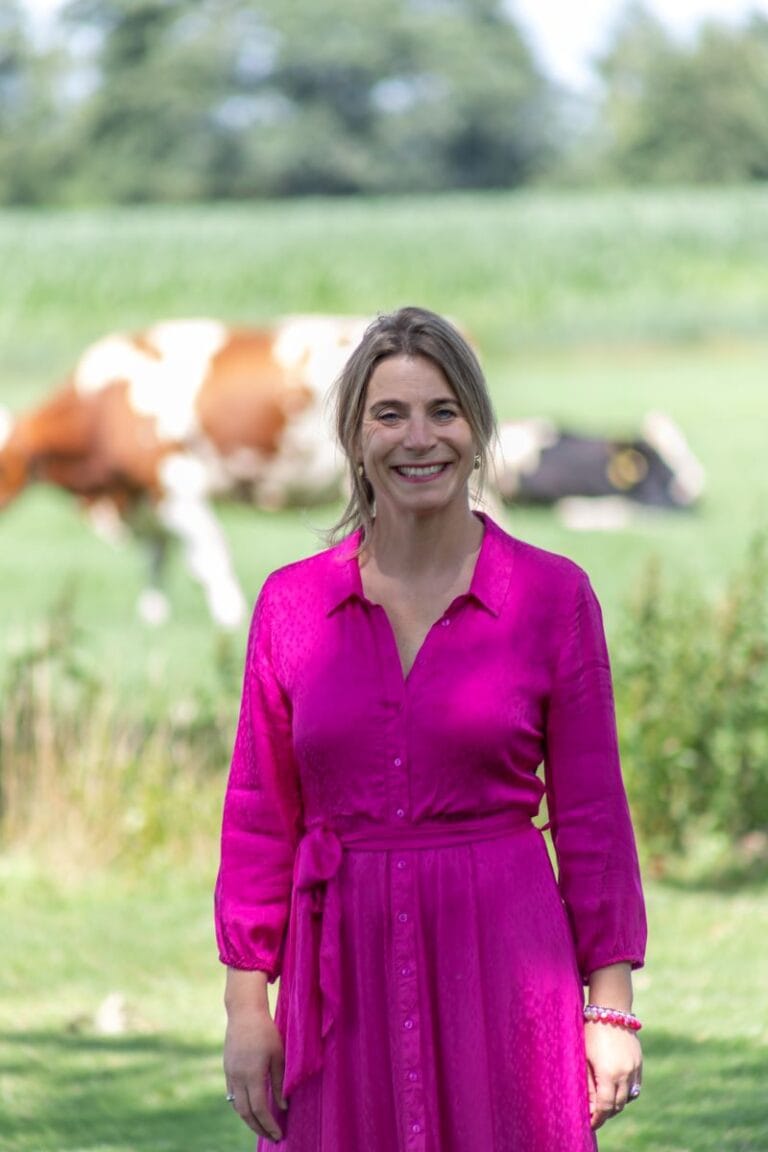 Balansportaal - Hulp bij stressverlichting, burn-out en persoonlijke ...