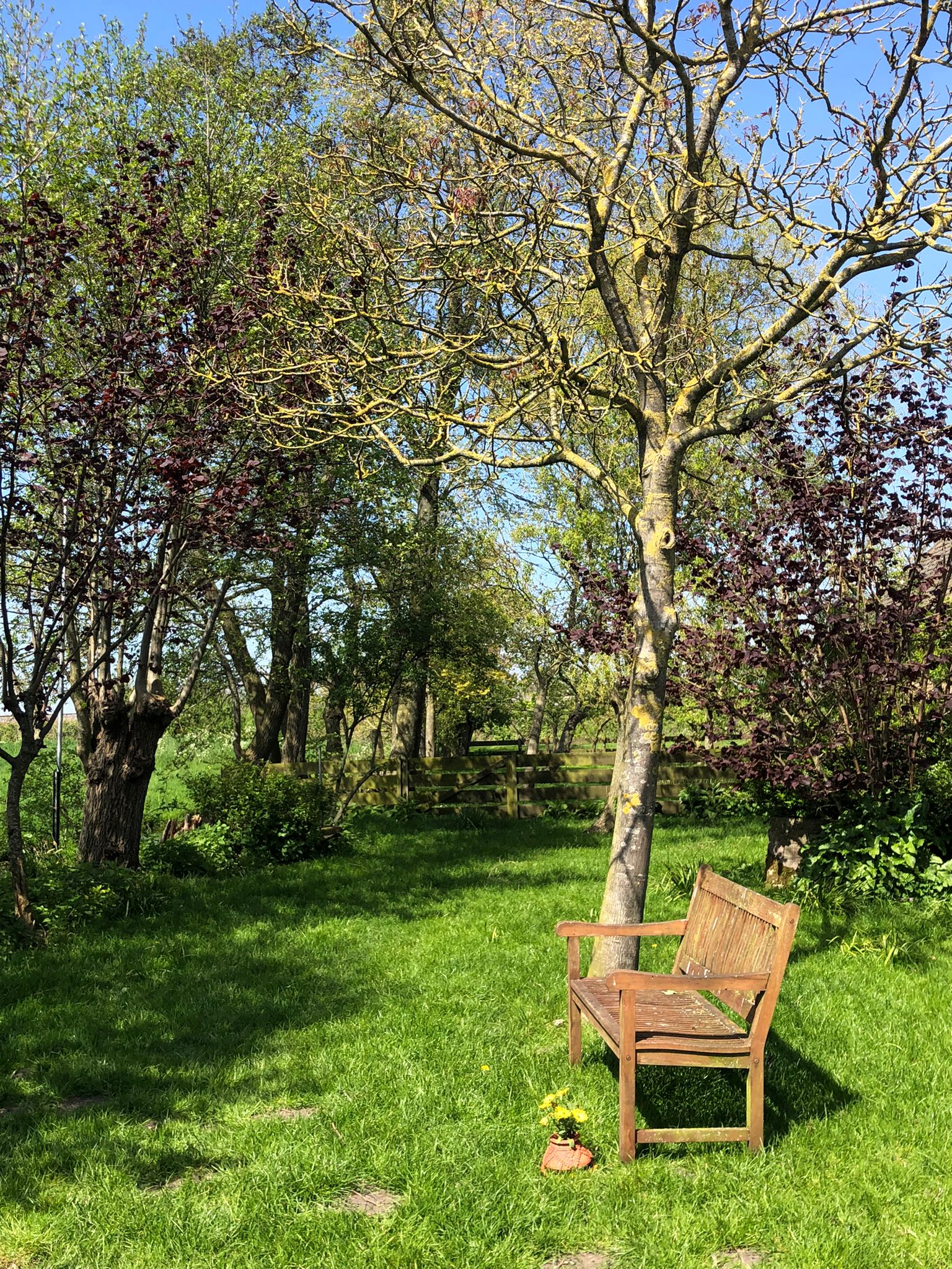 Crossroad Options Coaching - Balansportaal